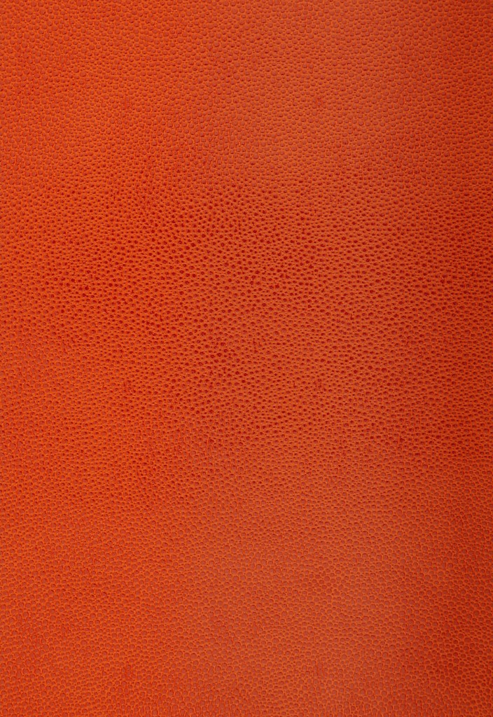What Is Shagreen? | A Little Design Help